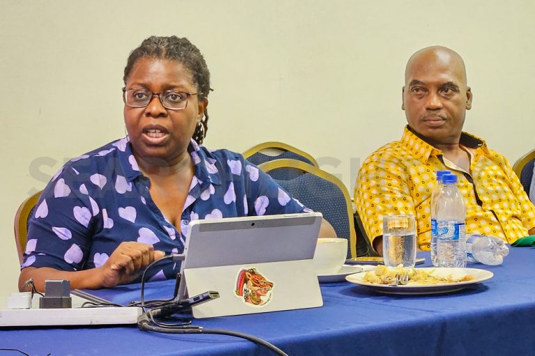 Project launched to investigate the history of Wallibou Sugar Estate