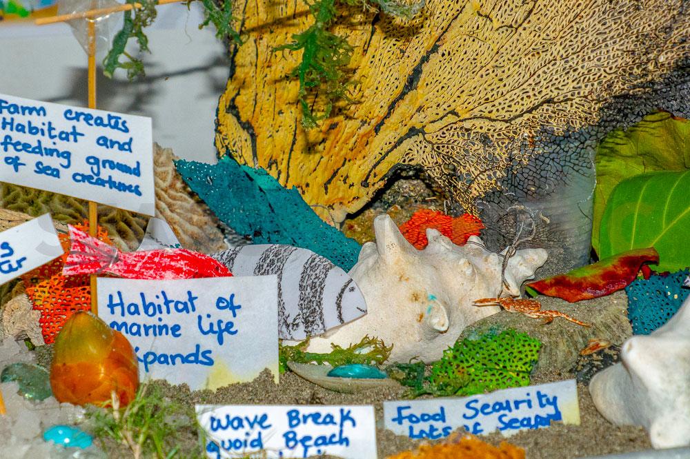 Students show their ‘Imagination’ at VINLEC Science Fair (+Video)