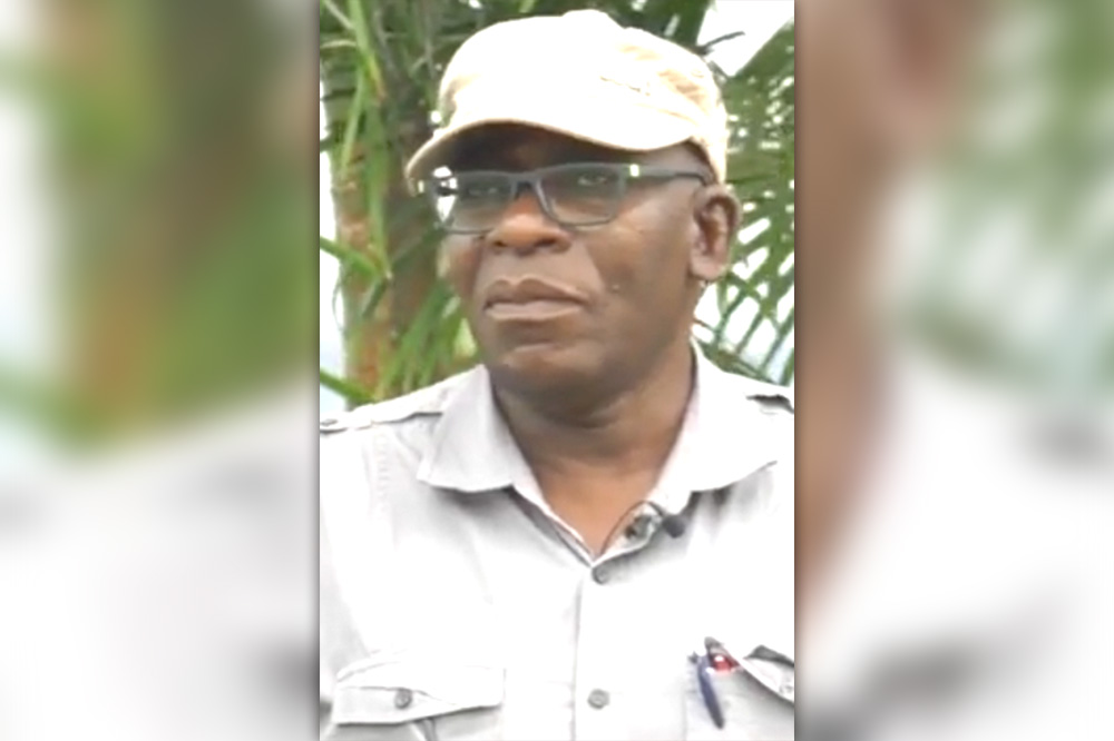 Sweet potato research project showing positive results - Searchlight