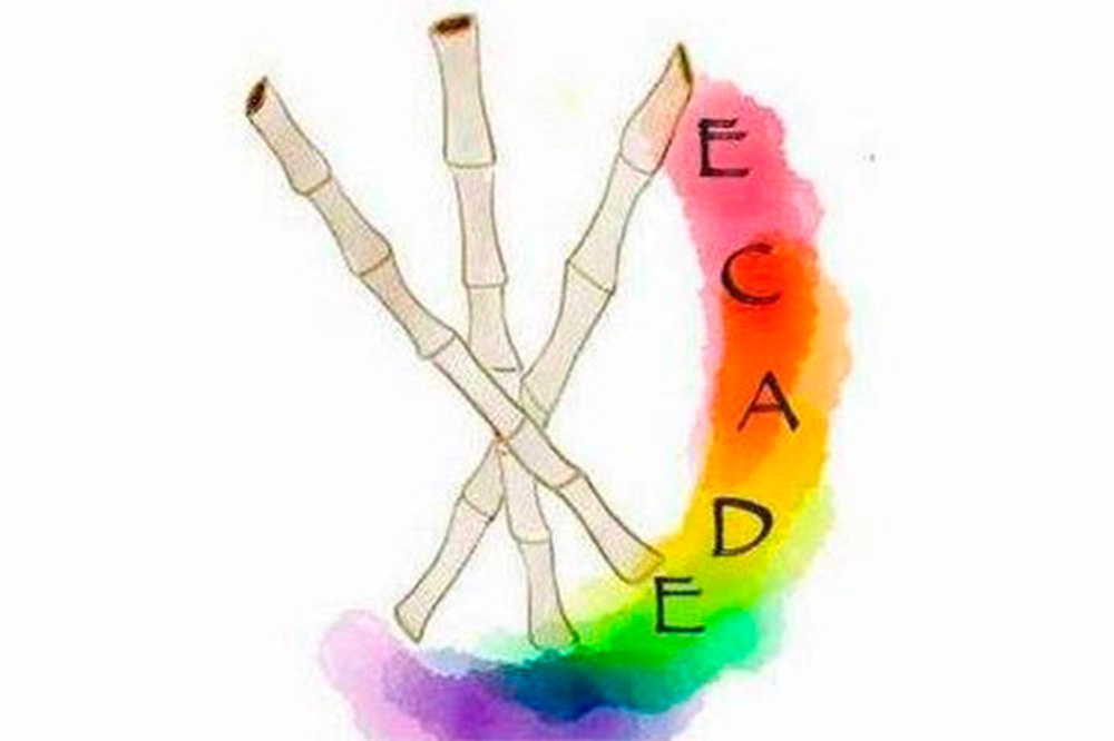 LGBTQ+ persons now more vulnerable after High Court ruling- ECADE ...