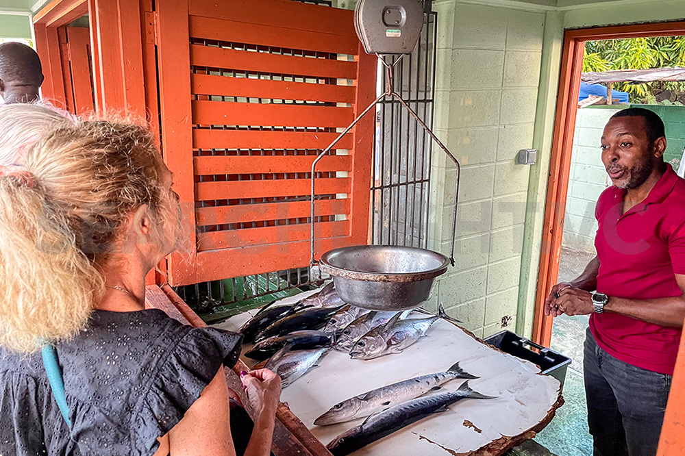 Fishers and taxi operators in waiting mode