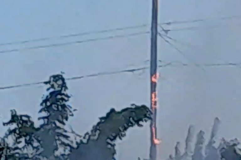 VINLEC pole burns in bush fire