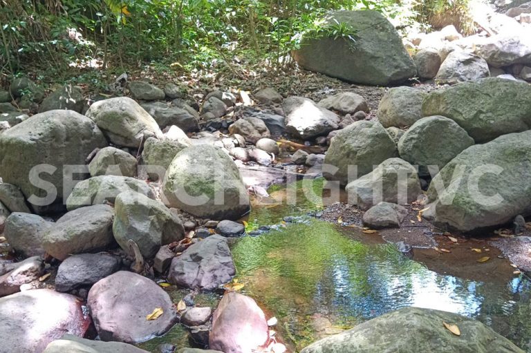 MV Gem Star 2 begins ferry service today - Searchlight