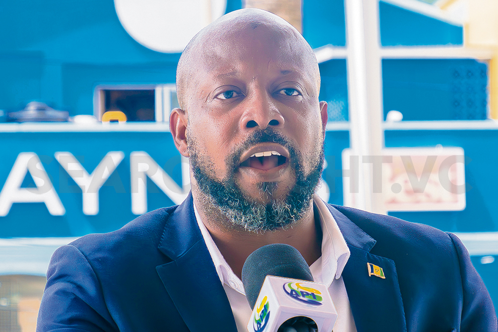 Tourism minister appeals to Vincentians to invest in more accommodation