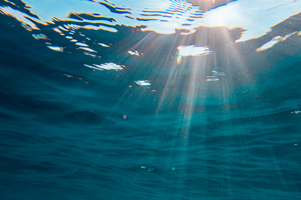 Water matters: safeguarding our dwindling precious resource - Searchlight