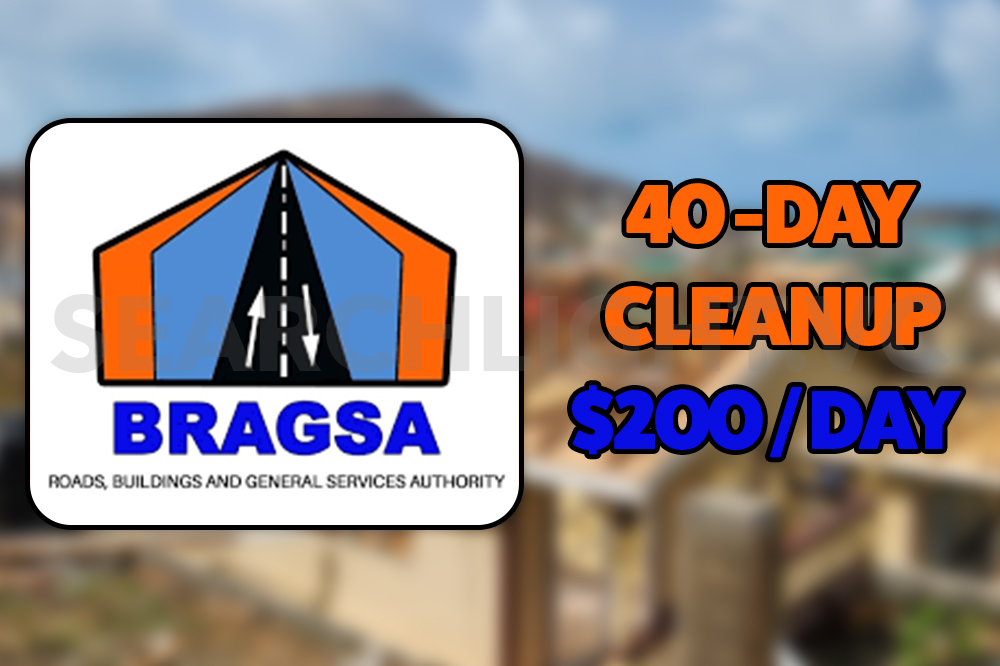 BRAGSA undertakes 40-day cleanup - Searchlight