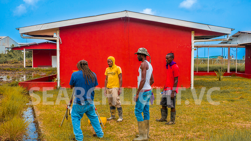 Work starts at former Teachers College to accommodate Union Island students