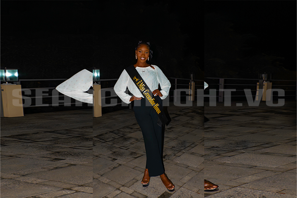 News Archives - Searchlight