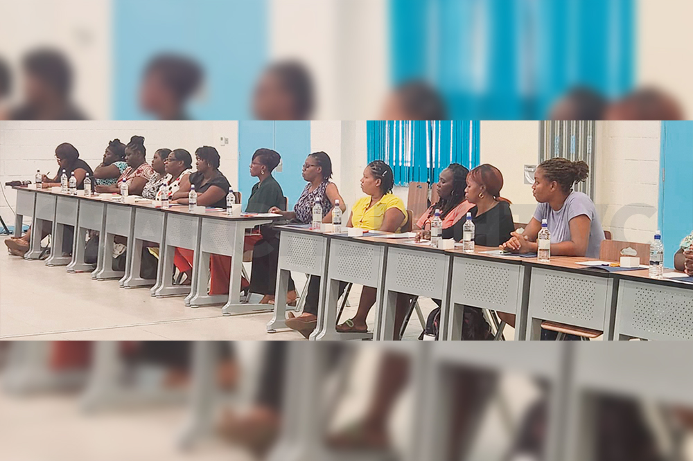 Small business is about more than ‘eating a food’ - Trainer - Searchlight Small business is about more than ‘eating a food’ - Trainer - Searchlight