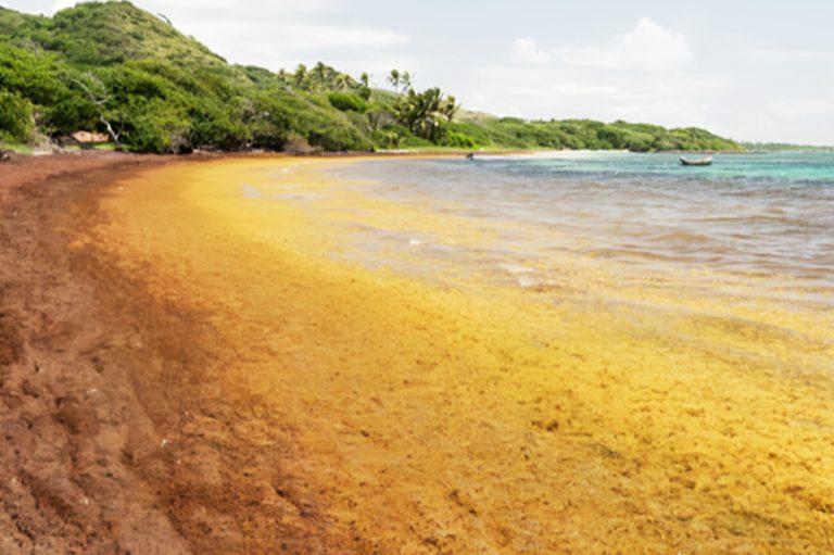 MV Gem Star 2 begins ferry service today - Searchlight
