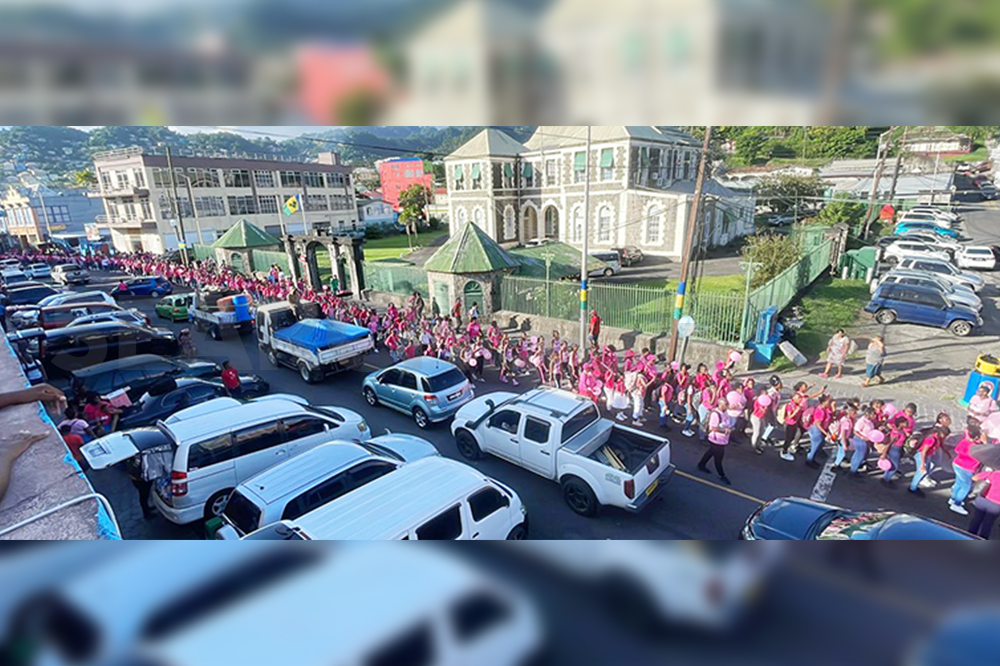 Hundreds come out to share ‘messages of hope’ at breast cancer walk ...