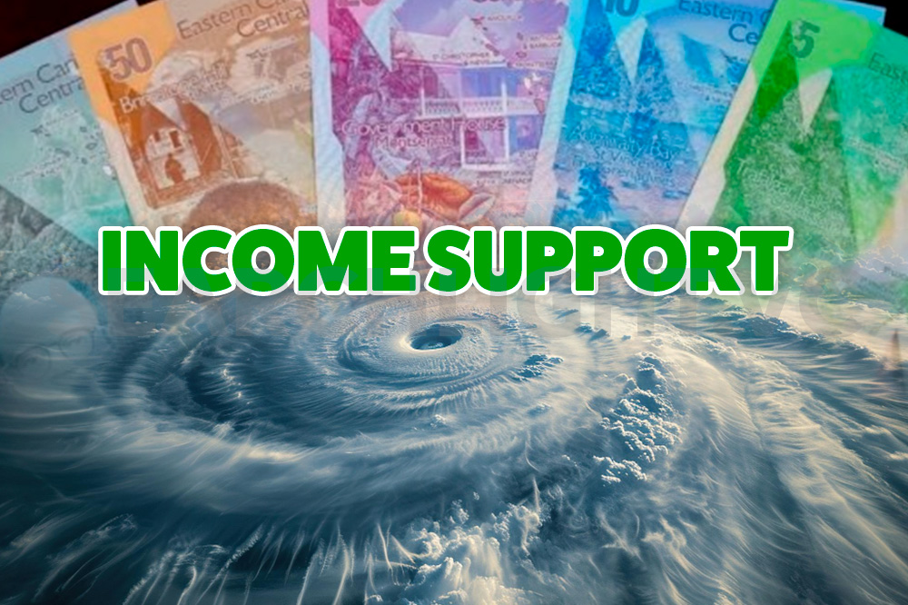 Income support for hurricane victims to roll out next month - Searchlight