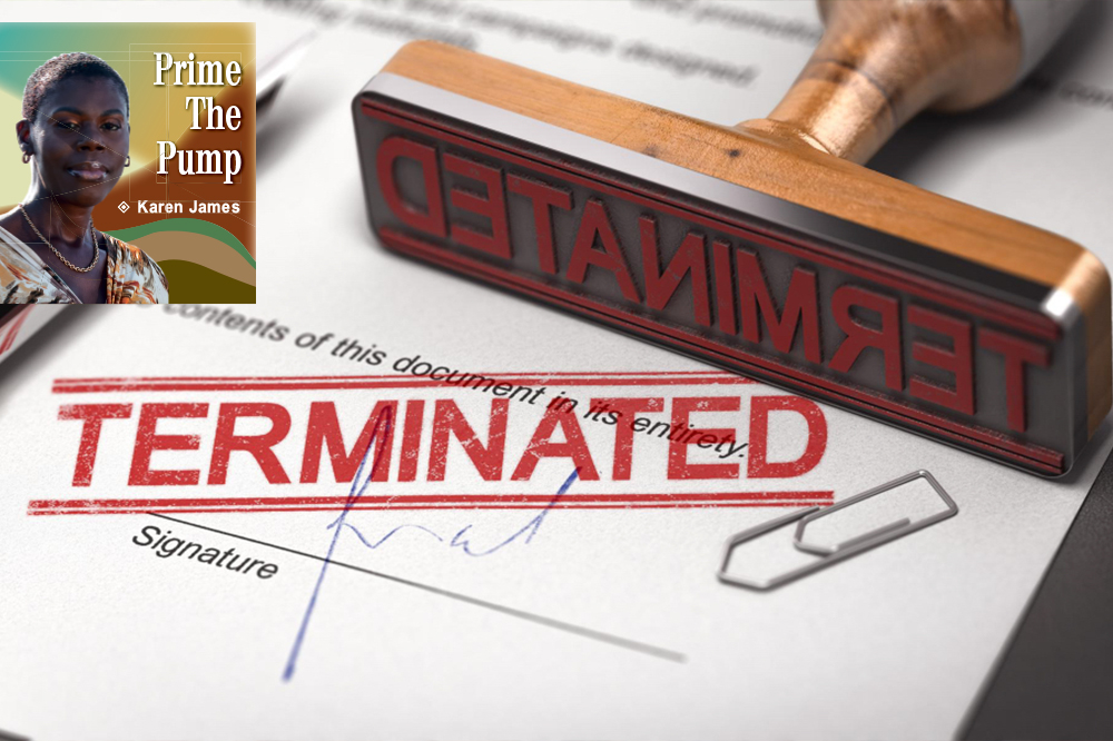 Examining the Protection of Employment Act (cont’d)-Termination - Searchlight