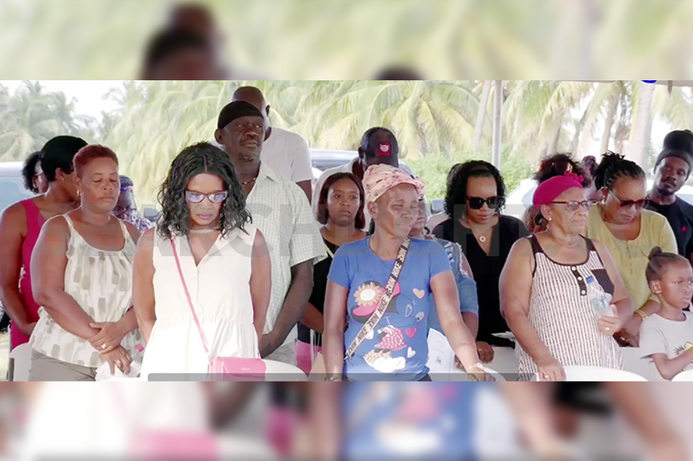 128 given rights to plots in Langley Park - Searchlight