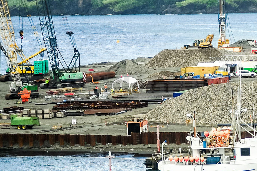 Port Project and Debt Sustainability - Searchlight