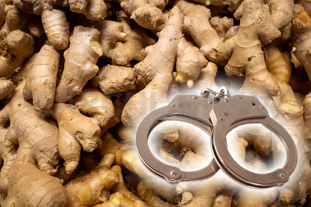 Park Hill farmer pleads guilty to handling stolen ginger - Searchlight