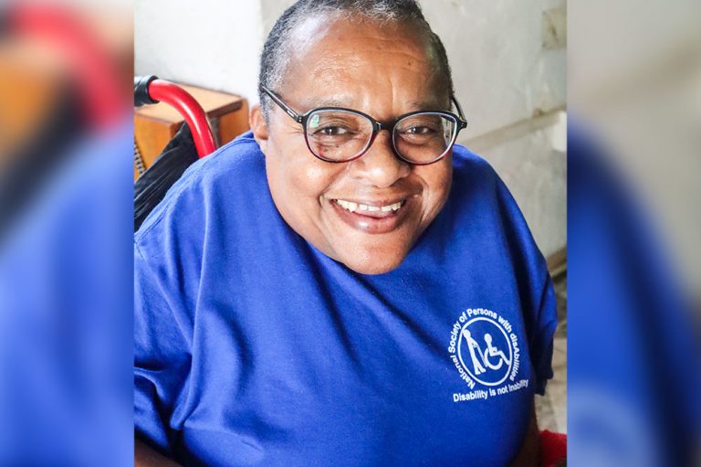 NSPD welcomes CDC’s planned upgrade of Victoria Park