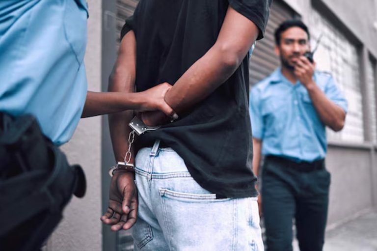 Coreas Distribution is now Acado SVG - Searchlight