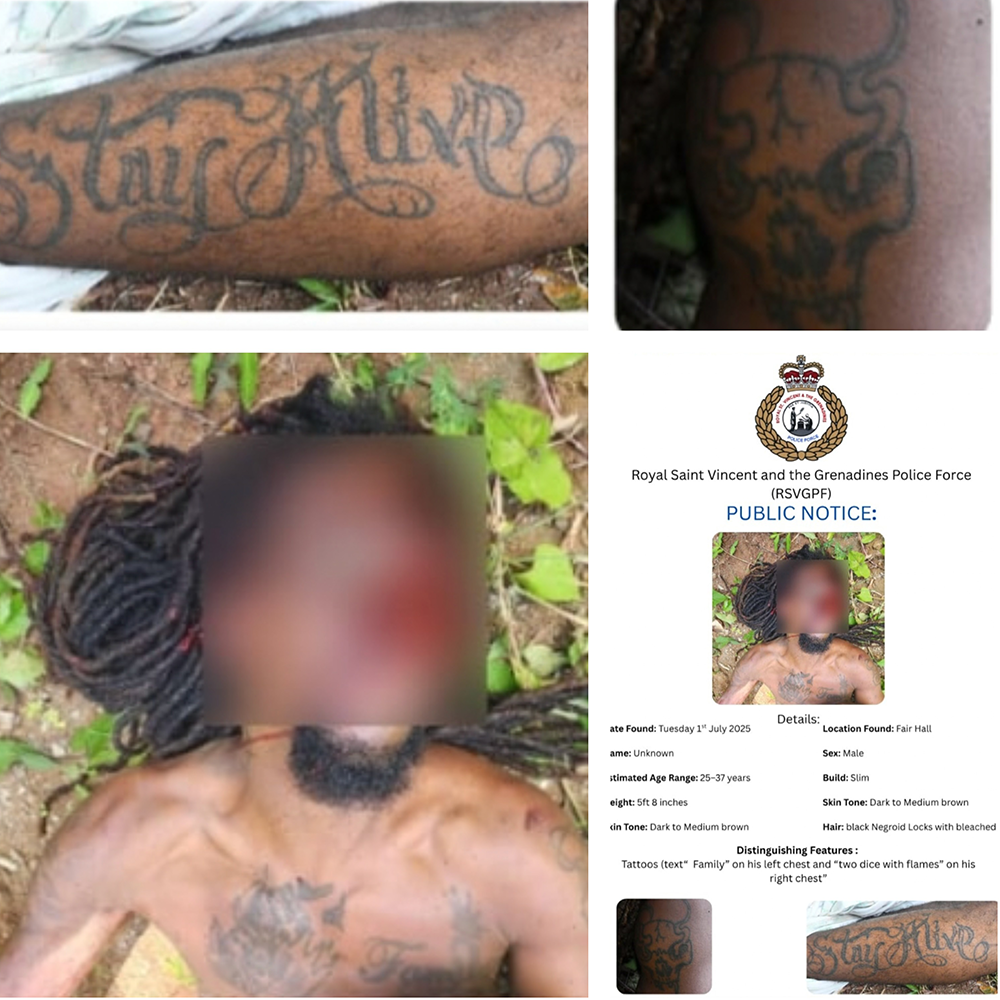 Police need to assistance identifying John Doe with 'Family, 'Stay ...