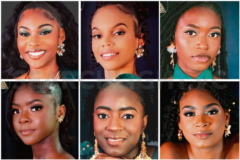 Coreas Distribution is now Acado SVG - Searchlight