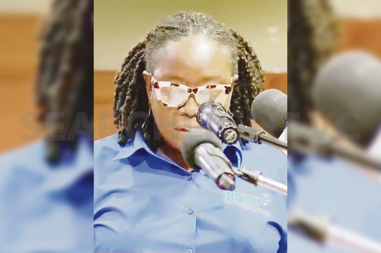 Coreas Distribution is now Acado SVG - Searchlight