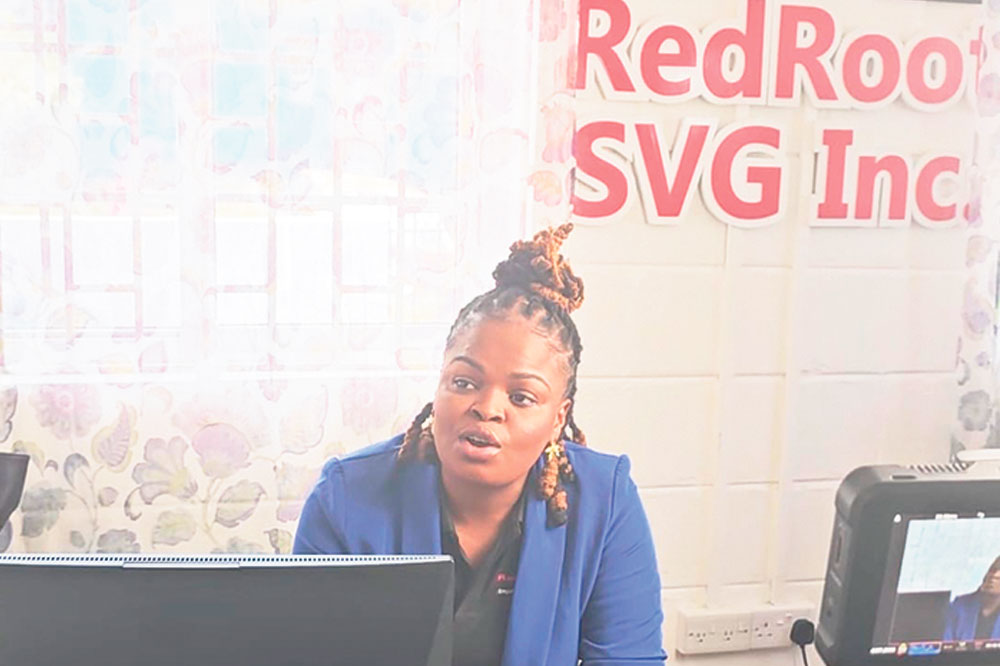 RedRoot SVG seeks help to set up Safe Home for women in crisis ...