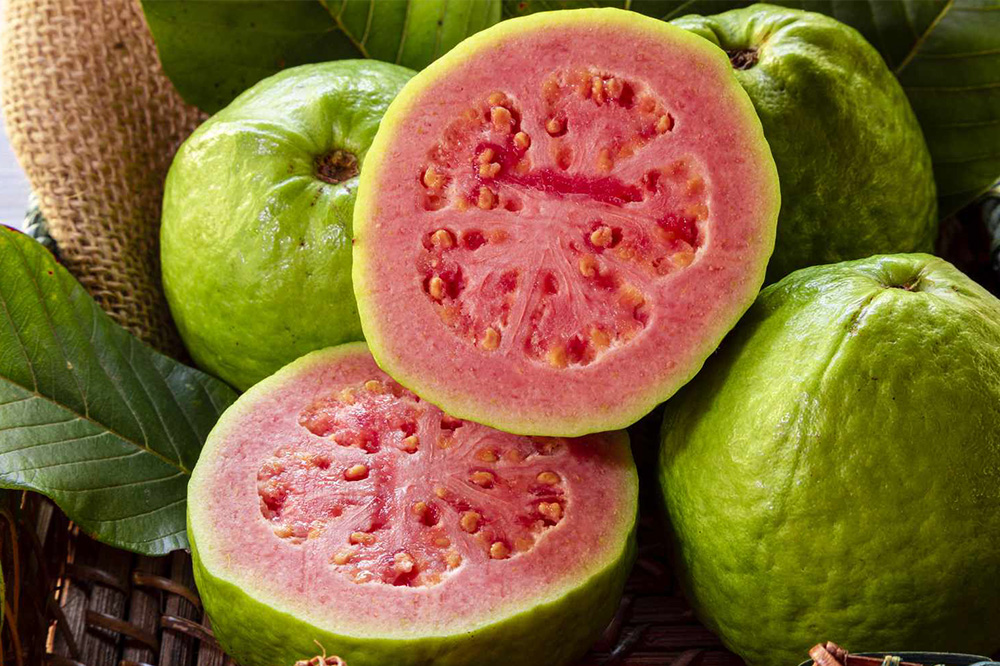 News Archives - Searchlight