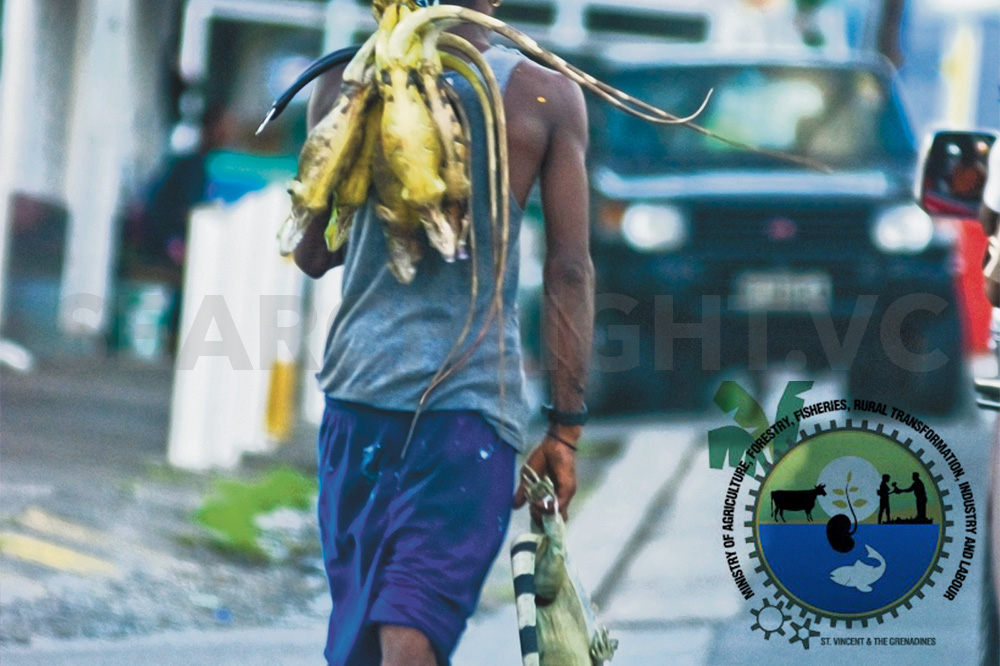 The Leadership and Legacy of the Rt. Honourable Robert Milton Cato ...