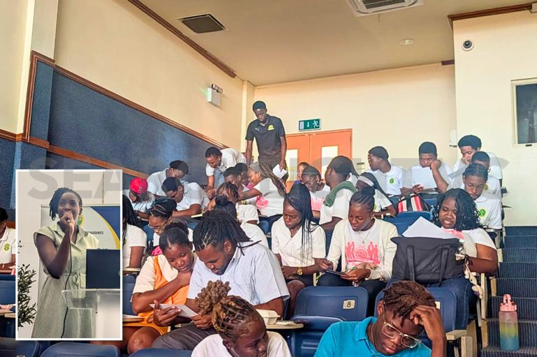 Ginger thief receives three-part sentence - Searchlight