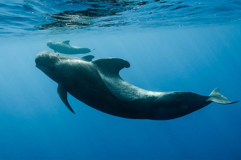 Sports Official wants communities to get moving with sports - Searchlight