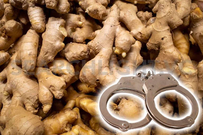 Georgetown School for children with special needs marks 40 years ...