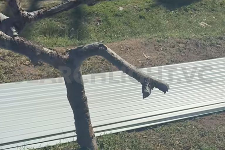 Happy birthday Cassandra - Searchlight